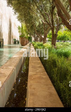 The Secret Garden, Marrakech, Morocco Stock Photo - Alamy
