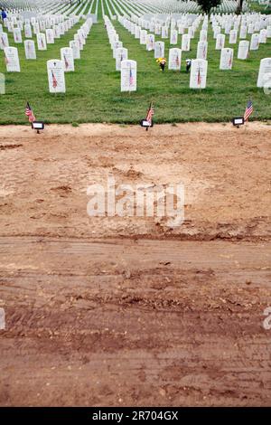 Grass and gravestones border mud from newly dug graves at Section 60 in ...