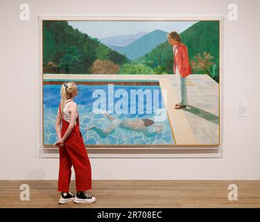 Portrait of an Artist (Pool with Two Figures), by British artist David ...