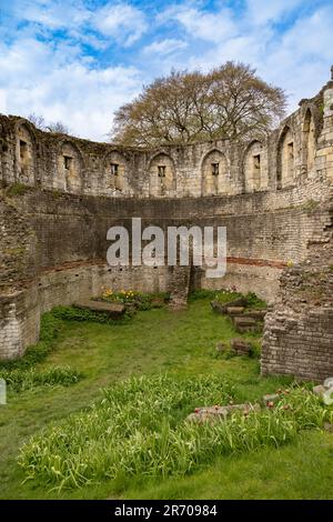 Interior view of the Multangular Tower in the Museum Gardens, the best ...