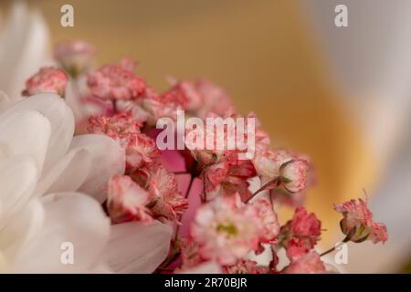 using different types of flowers to create a small bouquet for a ...