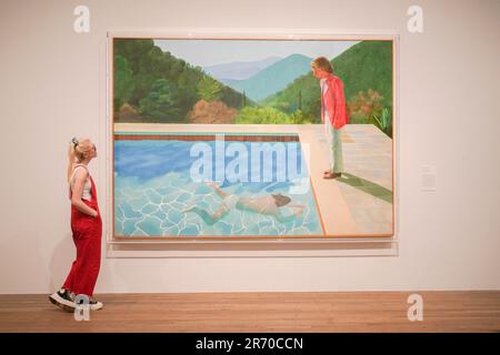 Portrait of an Artist (Pool with Two Figures), by British artist David ...