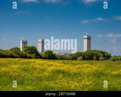 Saltholme nature reserve with the modern towers of the Quorn food ...