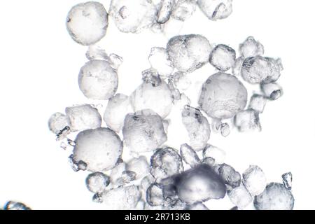 Salt crystals under microscope, light micrograph, close-up view Stock ...