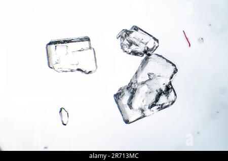 Sugar crystals under microscope, light micrograph, close-up view Stock ...