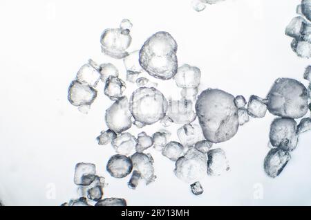 Salt crystals under microscope, light micrograph, close-up view Stock ...