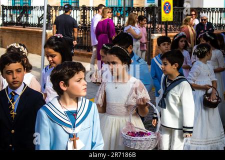 Young children participating at the Corpus Christi procession, an age ...