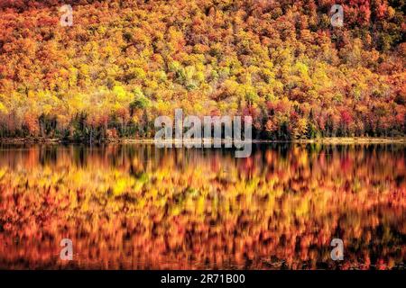 Calm Belvidere Pond in Vermont reflecting the trees during the fall ...