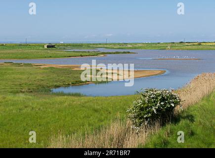 Kilnsea Wetlands, East Yorkshire, England UK Stock Photo - Alamy