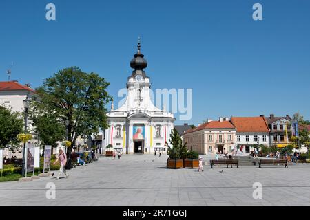 Basilica of the Presentation of the Blessed Virgin Mary, Wadowice ...