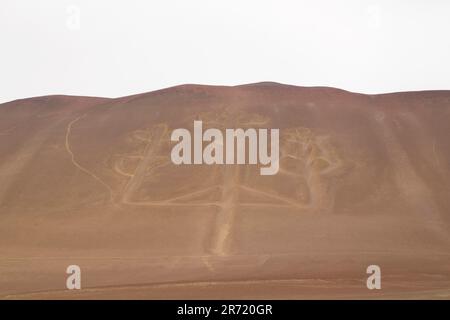 South America Peru Paracas Candelabra National Candelabra of the Andes ...