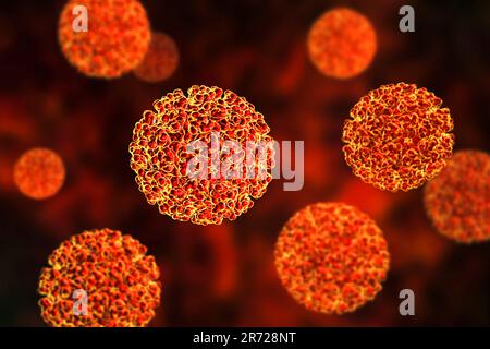Ross River viruses (RRV), computer illustration. RRV is a small ...