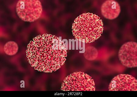 Ross River viruses (RRV), computer illustration. RRV is a small ...