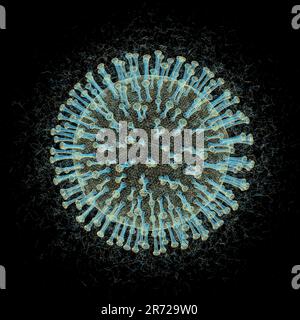 3D illustration of a coronavirus particle and New Variant? script ...