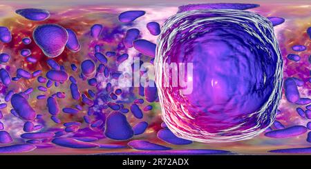 Porphyromonas gingivalis oral bacterium, 360 degree panorama view ...