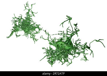 Amoeba, computer illustration Stock Photo - Alamy