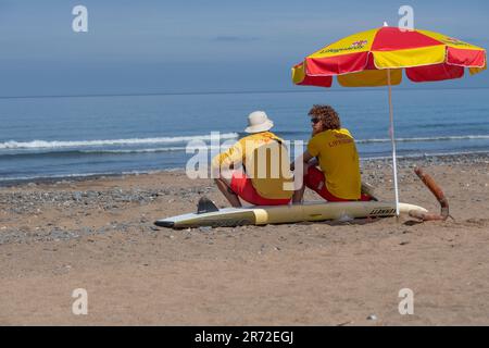 RNLI male Lifeguards on duty at Towan Beach in Newquay in Cornwall in ...