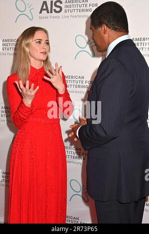 Emily Blunt and Dr Philip O. Ozuah attends the American Institute for ...