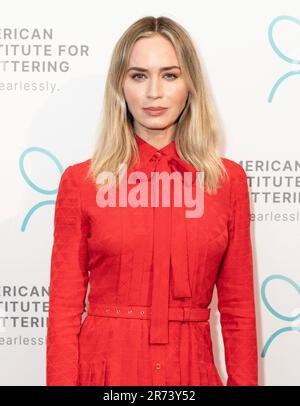 Emily Blunt attends the American Institute for Stuttering 17th Annual ...