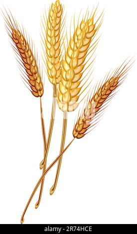 A vector illustration of Golden Wheat Grain Monogram Initial Letter N ...