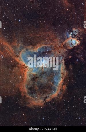 The Heart Nebula (IC 1805) & Fish Head Nebula (IC 1795) emission nebulae in the constellation ...