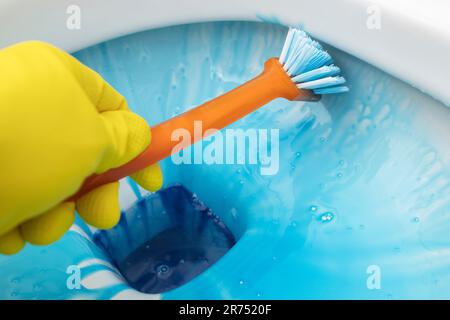 Clean toilet, clean toilet rim with toilet brush and liquid toilet ...