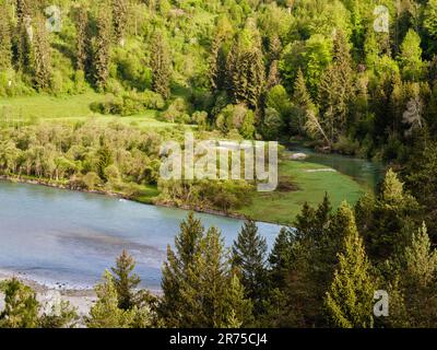 The Lech River in the Litzau Loop Stock Photo - Alamy