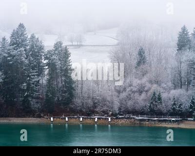 Winter onset at the Forggensee between Halblech and Roßhaupten Stock ...