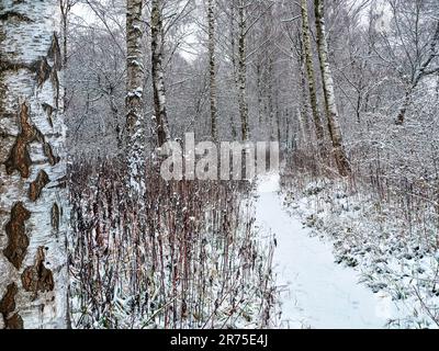 Onset of winter in the northern Lechauen, Gersthofen Stock Photo - Alamy