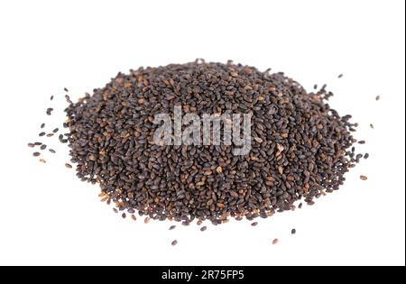 hoary basil seeds isolated on white background showcasing natural ...
