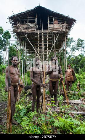 Few people Korowai tribe near his home in the jungle. Tribe of Korowai ...
