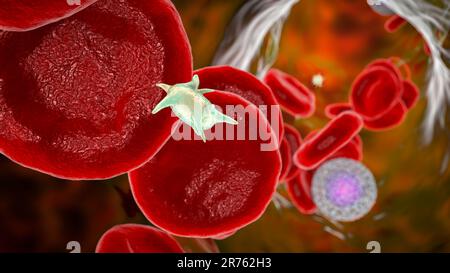Activated platelets in blood flow, computer artwork Stock Photo - Alamy