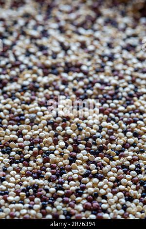 Red, black and white quinoa seeds on a concrete background Stock Photo ...