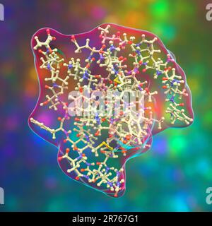 Insulin molecule. Computer model showing the structure of a molecule of ...