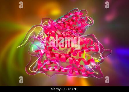 Rhodopsin molecule, illustration Stock Photo - Alamy