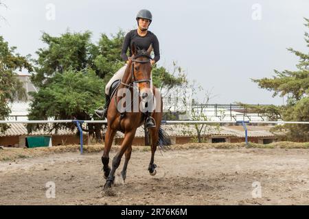 woman, pensive, horse ranch, female, ladies, lady, women, pensives ...