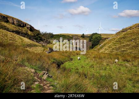 The ruins of Lower Lumb Mill, Cheeseden Valley, Rossendale, Lancashire ...