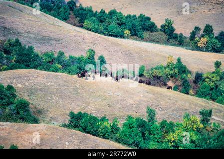 Aerial of Buffalo Pound Provincial Park, Saskatchewan, Canada Stock ...