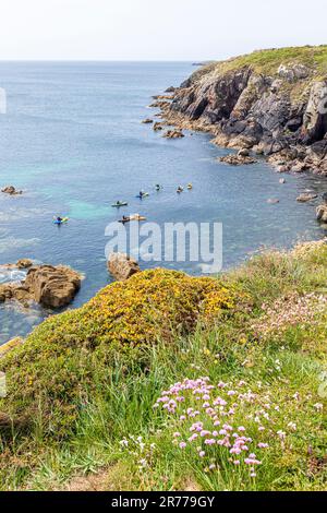 Canoeists in St Non's Bay on the St David's peninsula in the ...