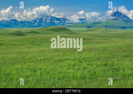 prairie below haystack butte and steamboat mountain near augusta ...