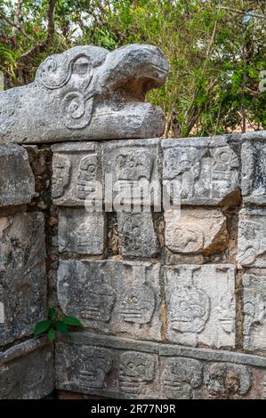 Maya bas reliefs in the archeological site of Chichen Itza, an Unesco ...