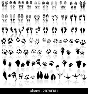 Collection of shoe print, footprint, animal and bird trails Stock ...
