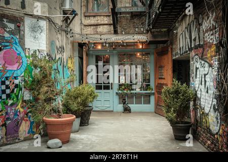 Freeman's Alley, in Lower East Side, Manhattan, New York City Stock ...
