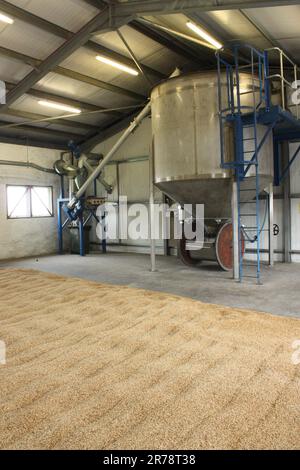 The malting floor at the Kilchoman Distillery on Islay Stock Photo - Alamy