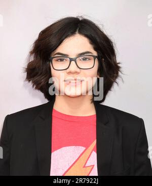 HOLLYWOOD, CALIFORNIA - JUNE 12: Ian Loh attends the Los Angeles ...