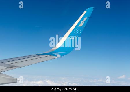 American Airlines Flagship Valor Airbus A321 wingtip wing flap livery ...