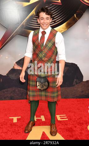 HOLLYWOOD, CALIFORNIA - JUNE 12: Edward Wade attends the Los Angeles ...