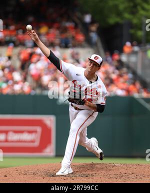 Baltimore Orioles pitcher Tyler Wells pauses against the Tampa Bay Rays ...