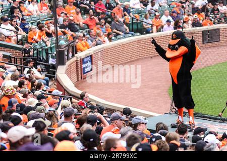 Cleveland Guardians fans cheer on their team during Game 1 of the ...