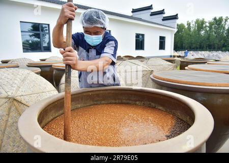 RUGAO, CHINA - JUNE 14, 2023 - A worker uses a wooden rake to stir ...